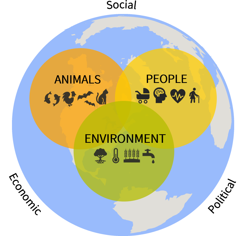 One Health | Research at UCalgary | University of Calgary