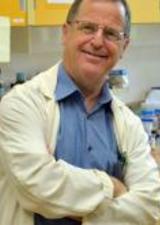 AMR: A One Health Approach Seminar Series | Research at UCalgary ...